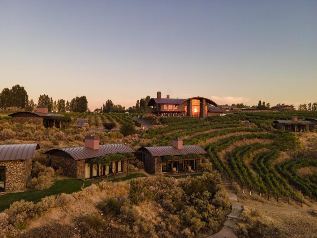 What is a Quinta? Your Complete Guide to Portuguese Wine Estates
